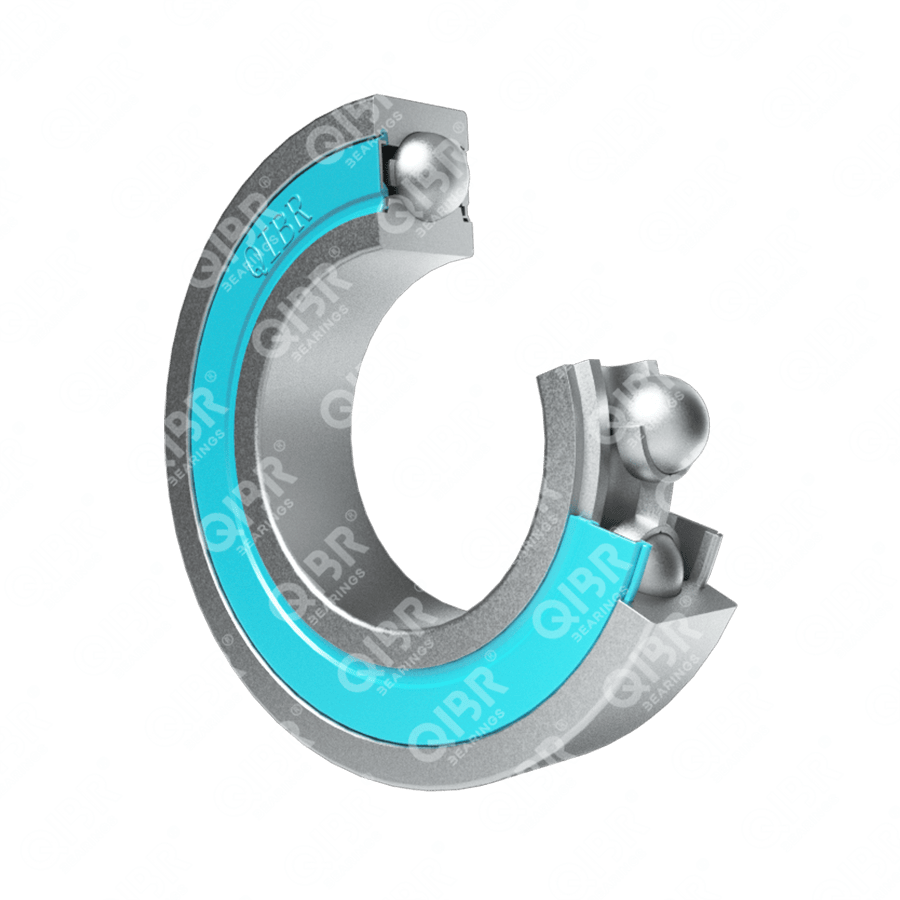 6028 2RS1 - QIBR Bearing Co., Ltd.